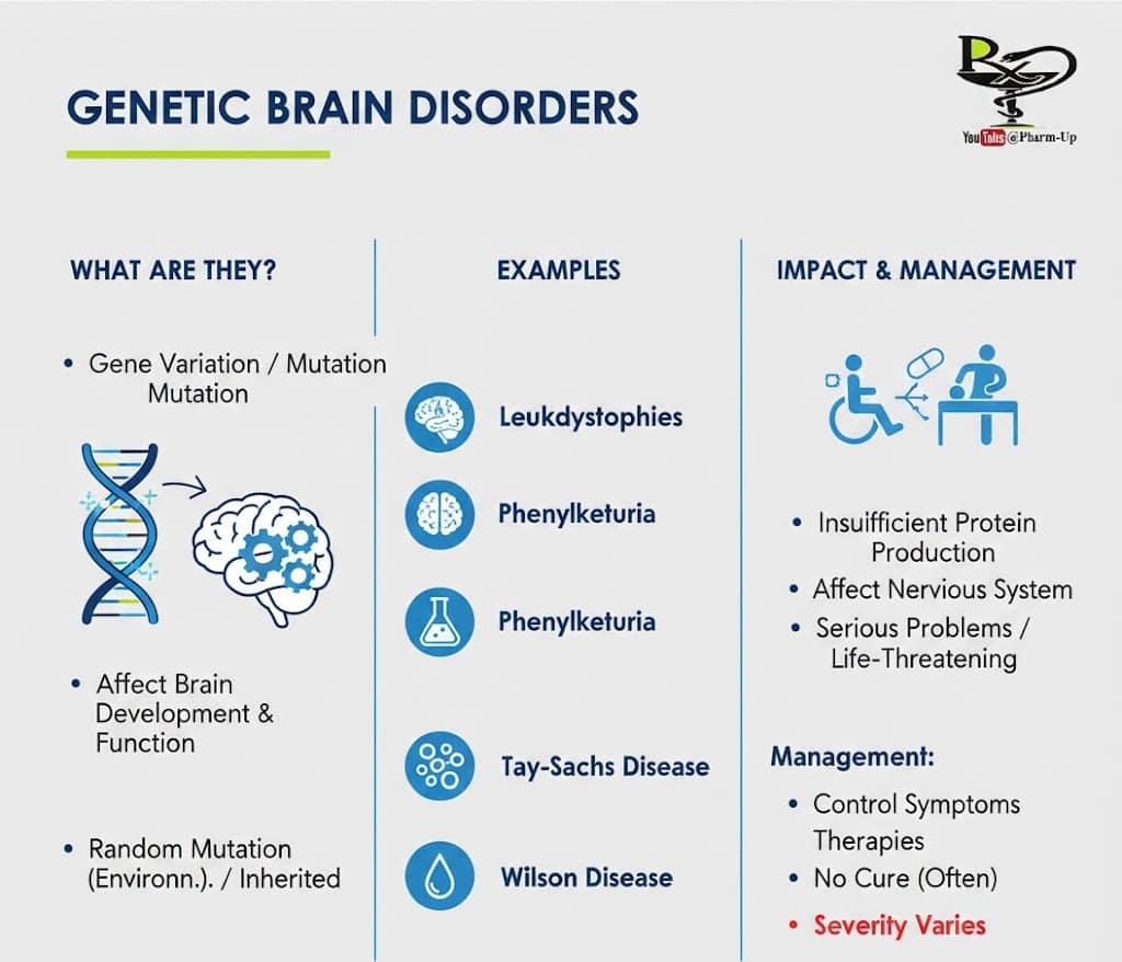 Genetic Brain Disorders: Causes, Examples, and Impact - Pharm'Up