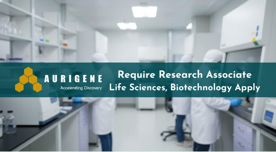 NCL Recruitment 2026: Pharmacist Posts for Superannuated Employees ...