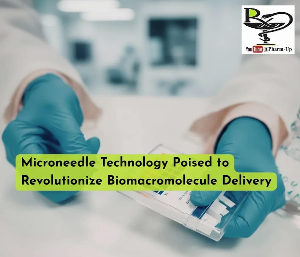 The Gut’s Double-Shield: How Intelectin-2 Bridges the Gap Between Mucus ...